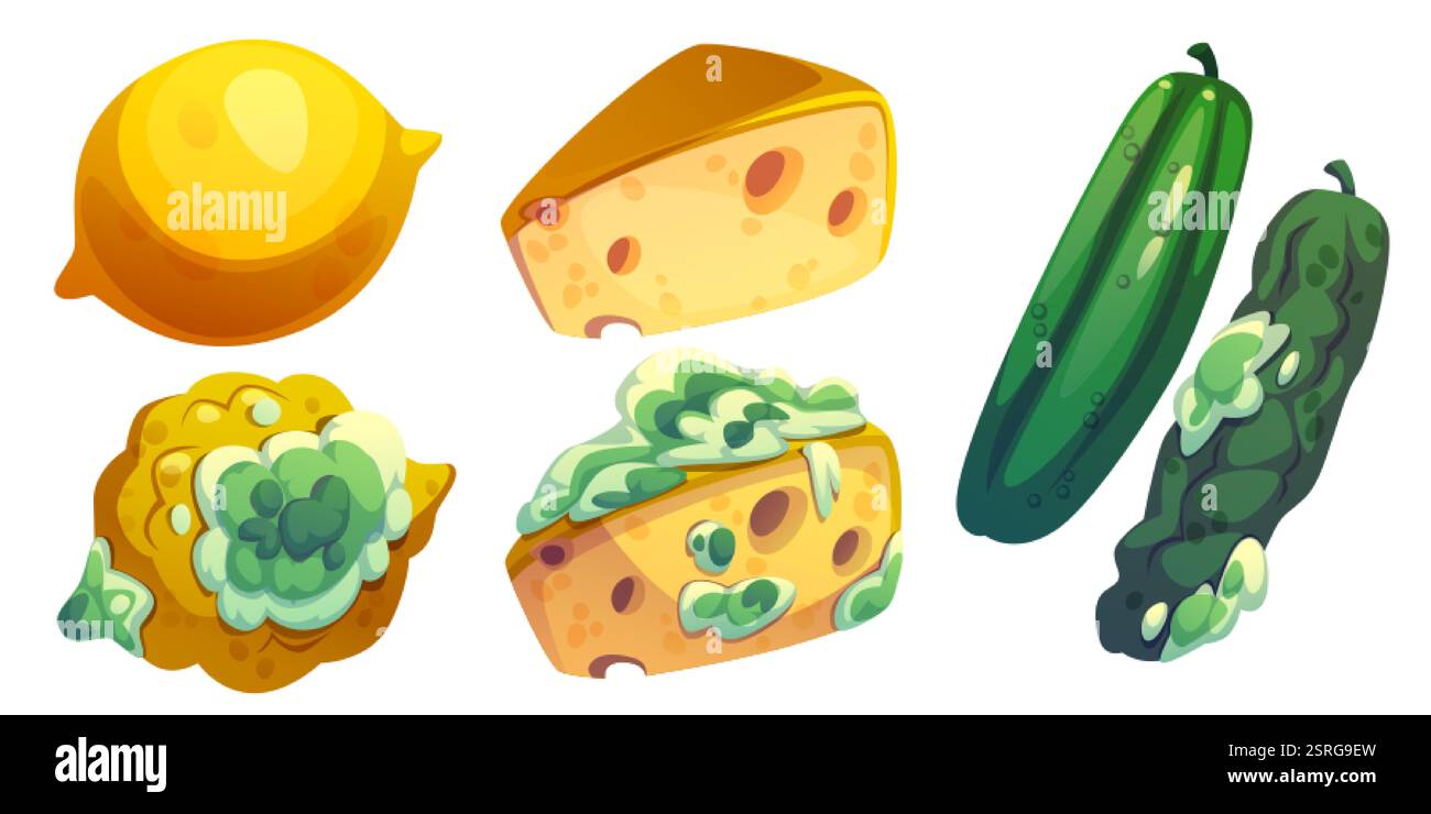 Rotten food set isolated on white background. Vector cartoon ...