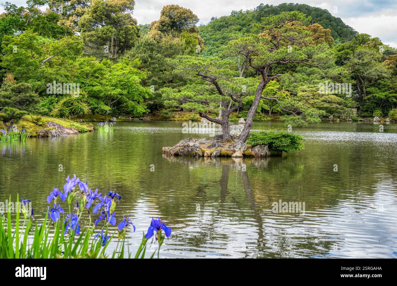 Beautiful scenic Japanese garden with a large pond on the grounds of ...