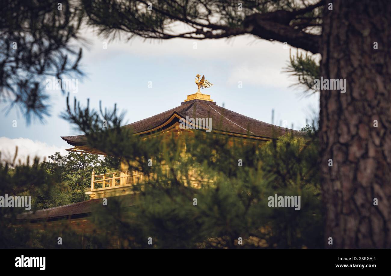 The statue of the mythological bird phoenix on top of Kinkaku-ji Golden ...