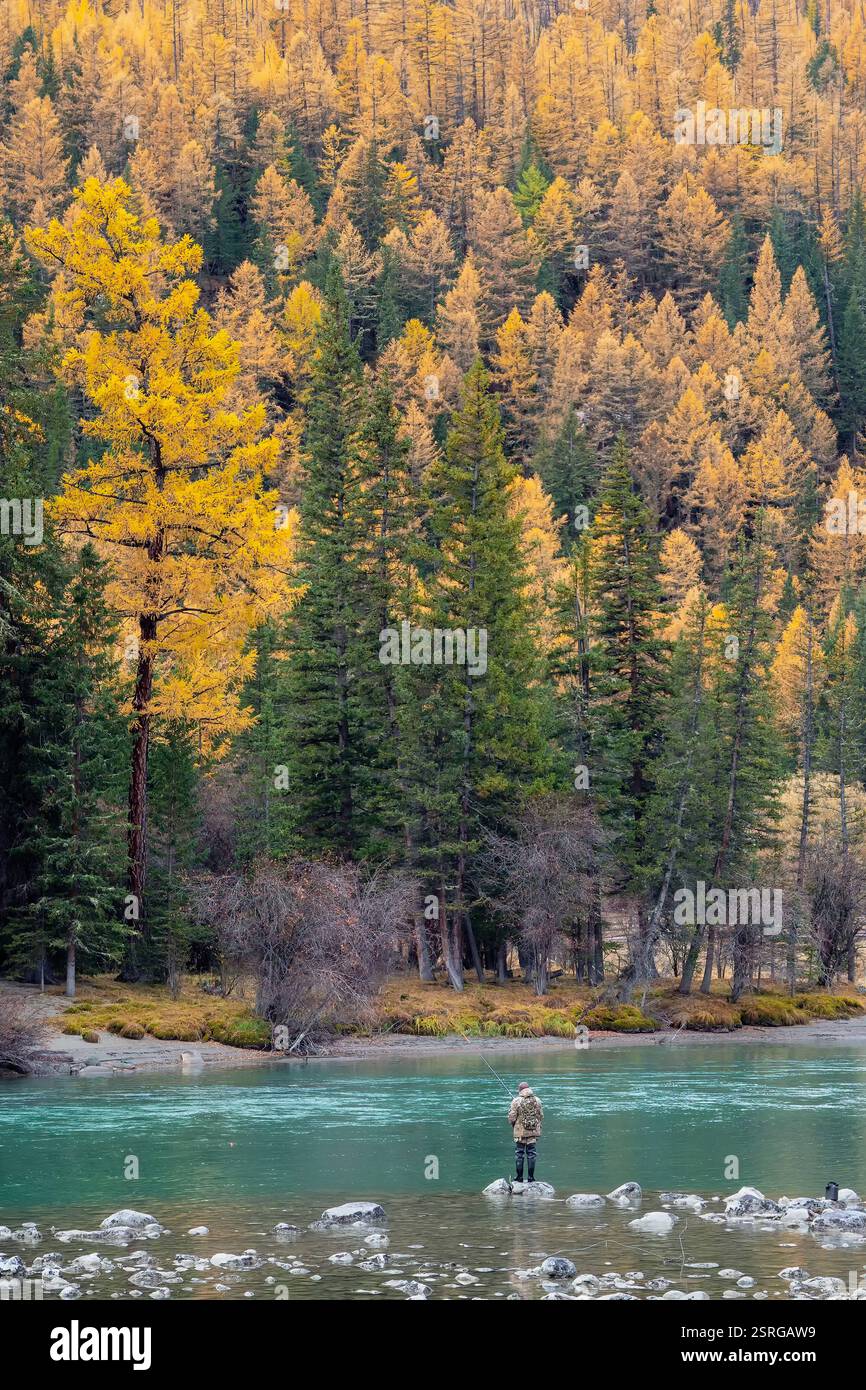Angler fängt Äsche in einem Gebirgsfluss Autumn scenery with fisherman ...