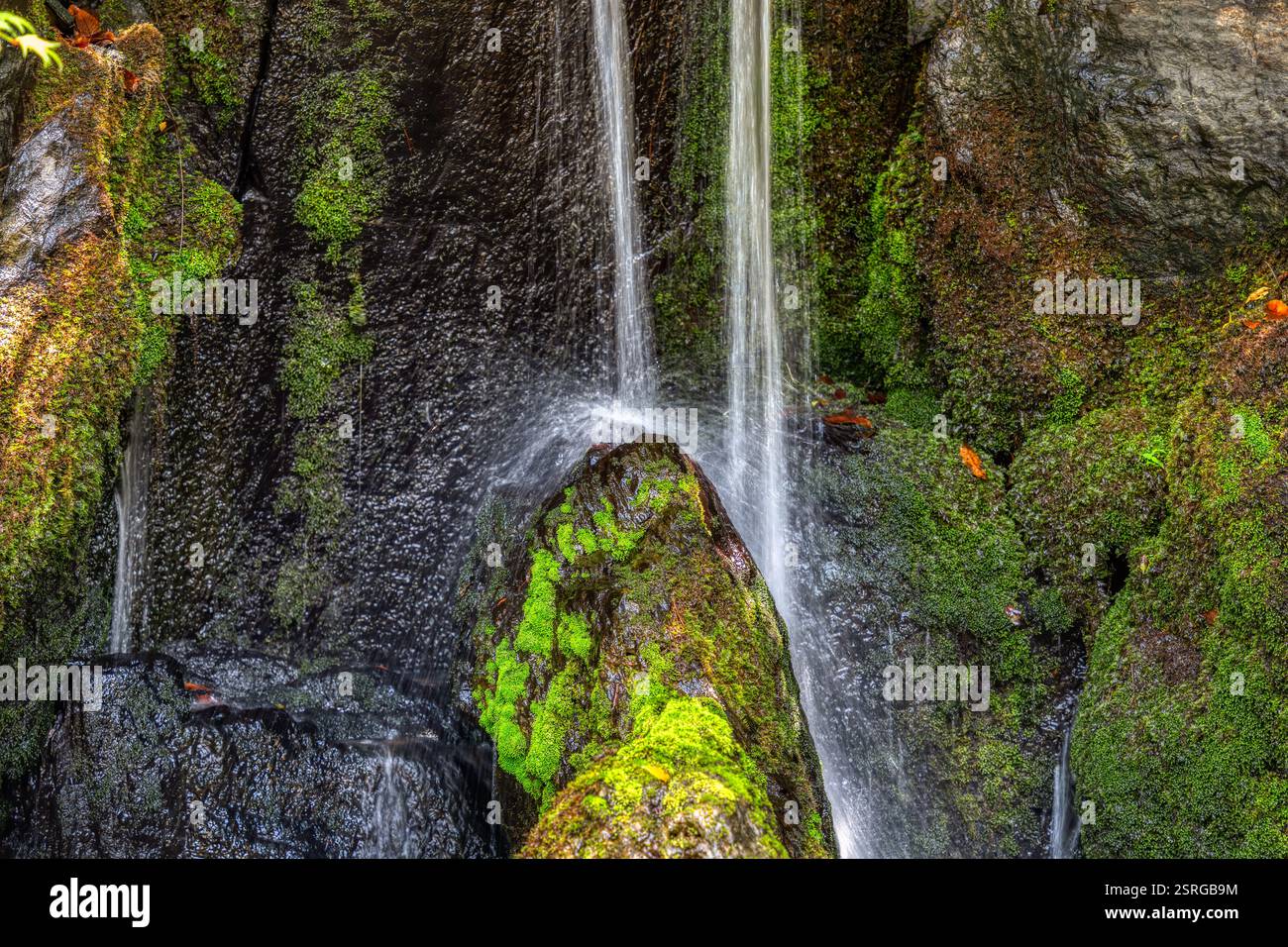 Small waterfall on the grounds of Rokuon-ji Kinkakuji (Golden Pavilion ...