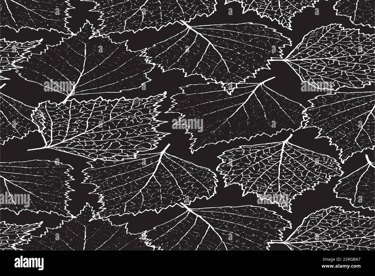 Autumn transparent leaves pattern on white background Stock Vector ...