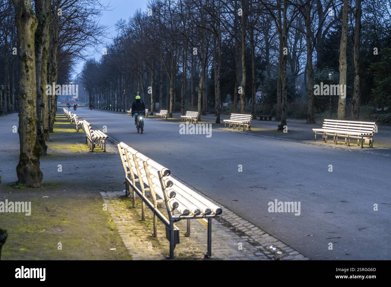 The light benches by artist Stefan Sous in the Hofgarten, entitled UV-A ...