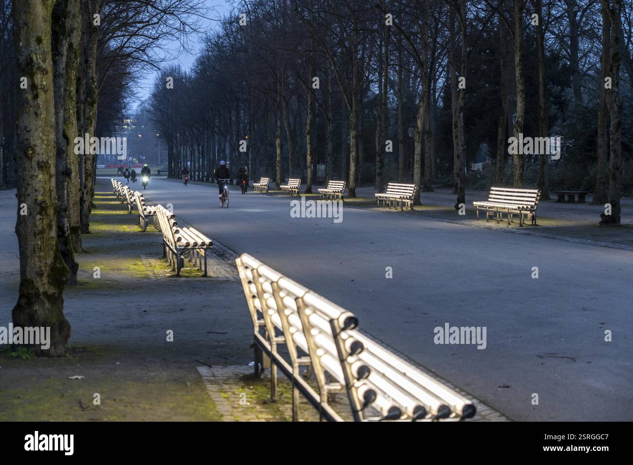 The light benches by artist Stefan Sous in the Hofgarten, entitled UV-A ...