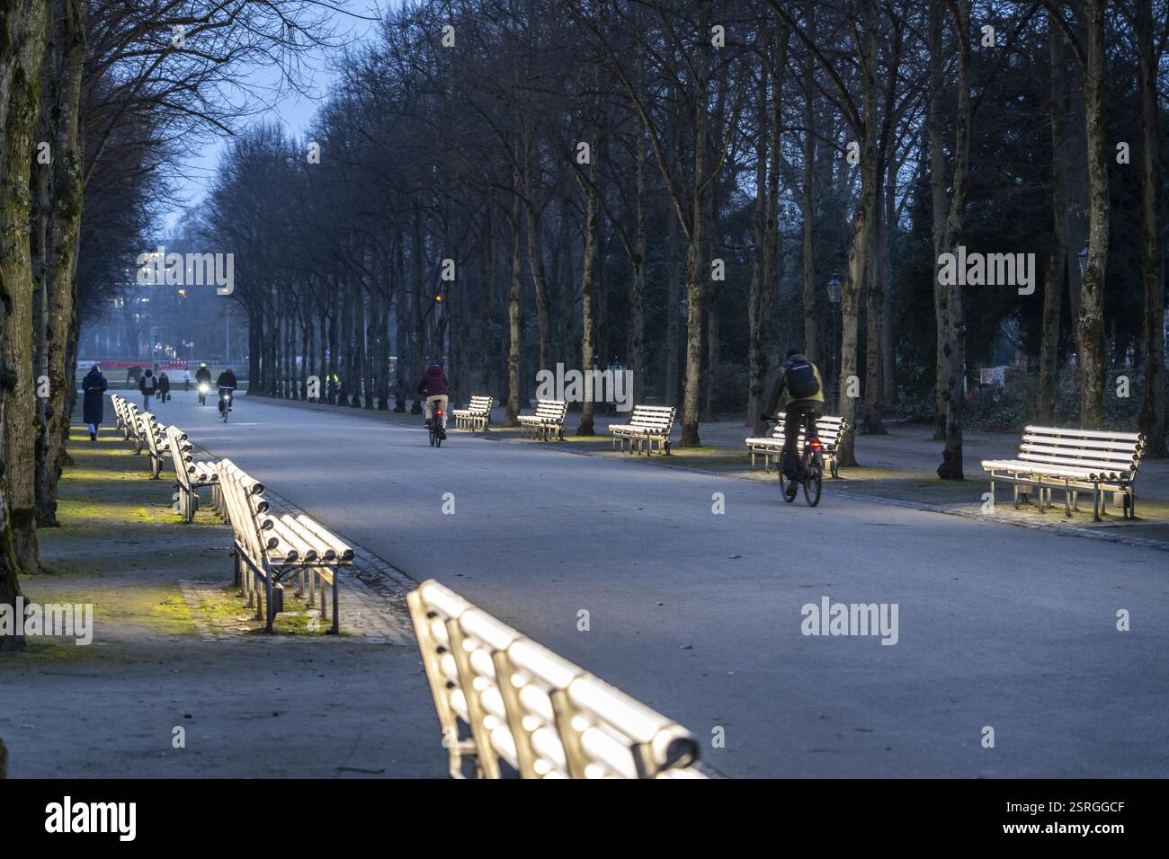The light benches by artist Stefan Sous in the Hofgarten, entitled UV-A ...