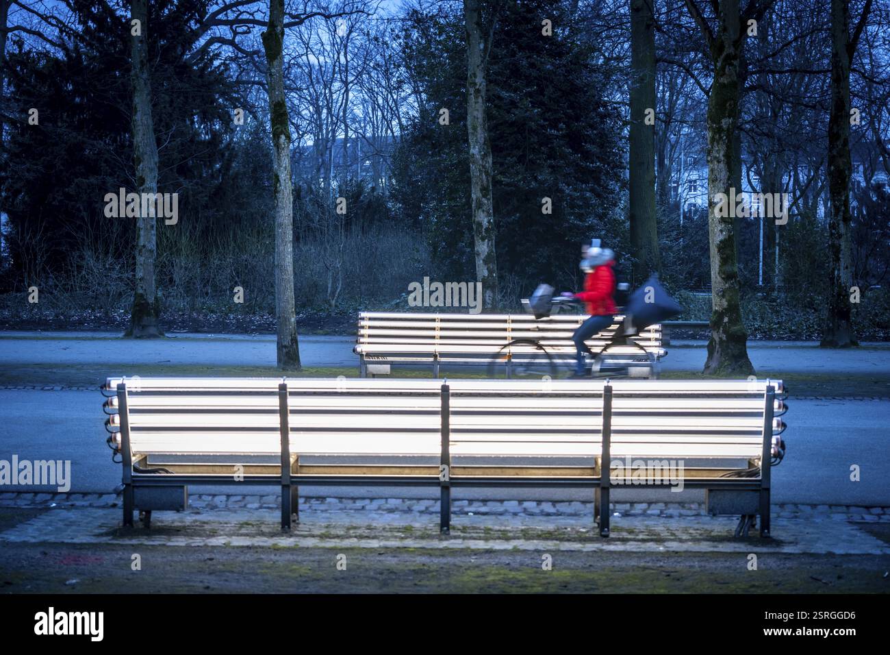 The light benches by artist Stefan Sous in the Hofgarten, entitled UV-A ...