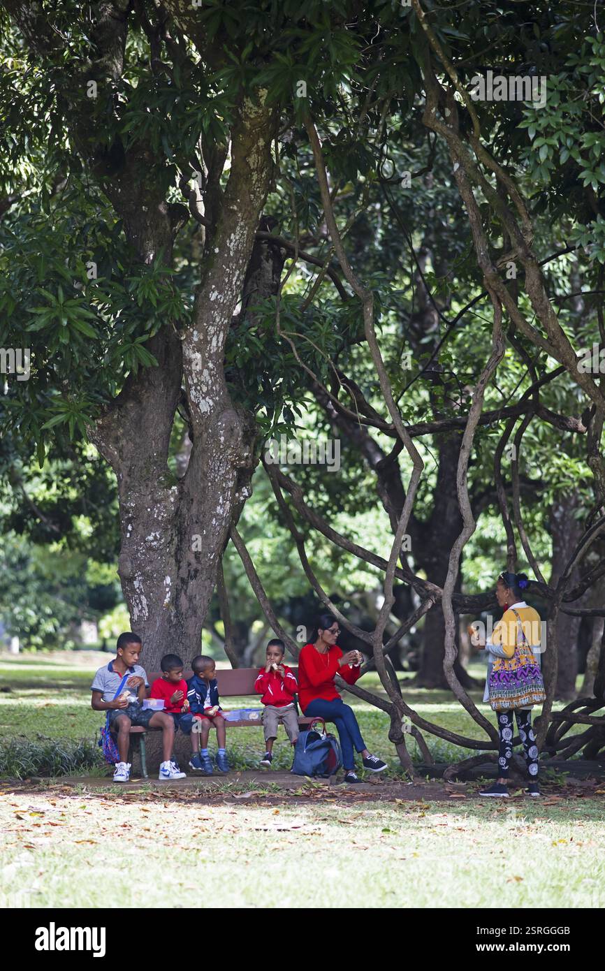 Mauritian woman and children taking a bread break under a mango tree ...