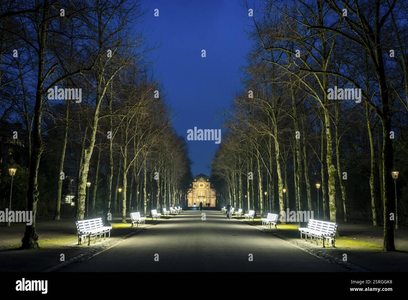 The light benches by artist Stefan Sous in the Hofgarten, entitled UV-A ...
