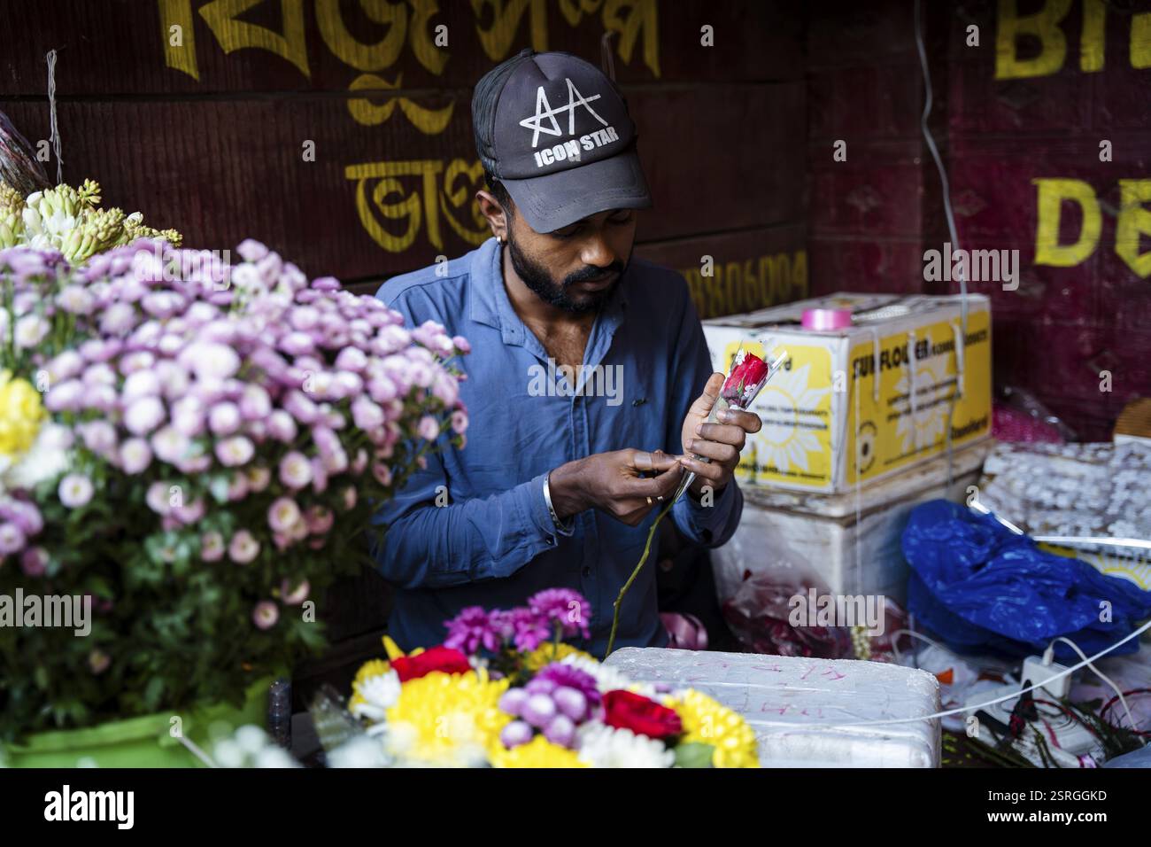 Vendor arranges roses to sell in a street flower shop, on the occasion ...