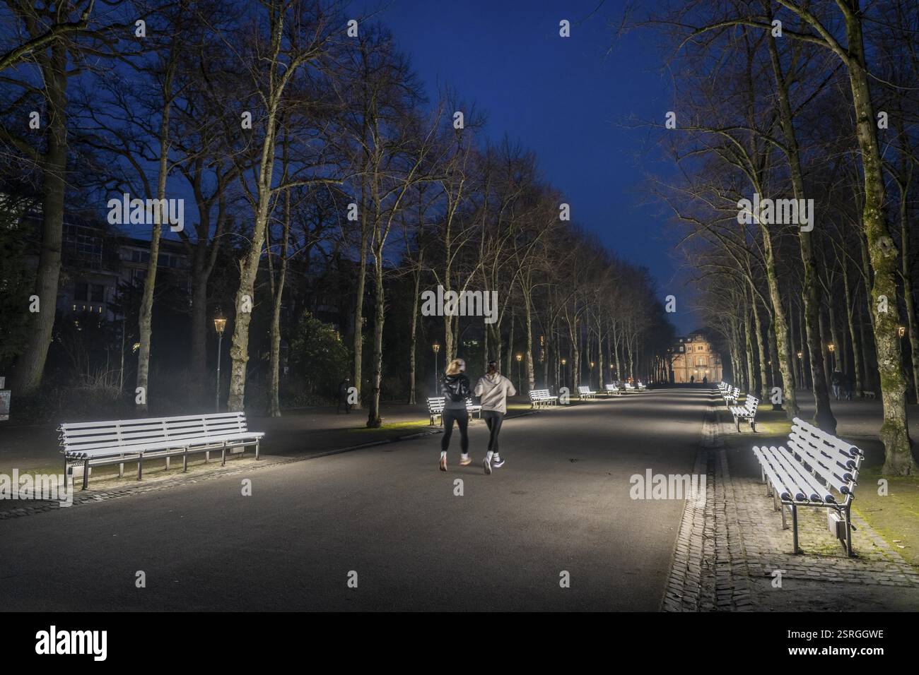 The light benches by artist Stefan Sous in the Hofgarten, entitled UV-A ...