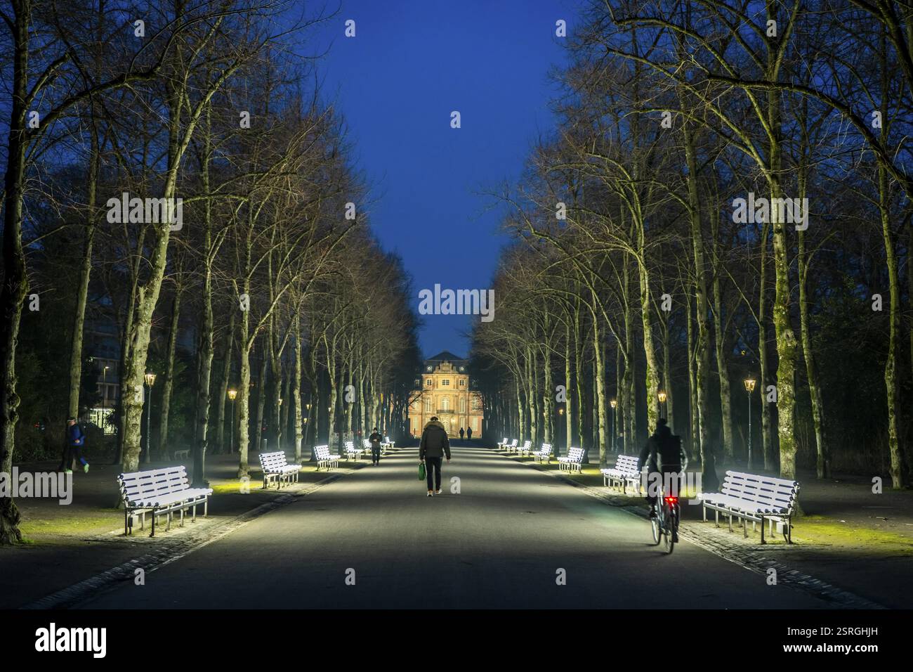 The light benches by artist Stefan Sous in the Hofgarten, entitled UV-A ...
