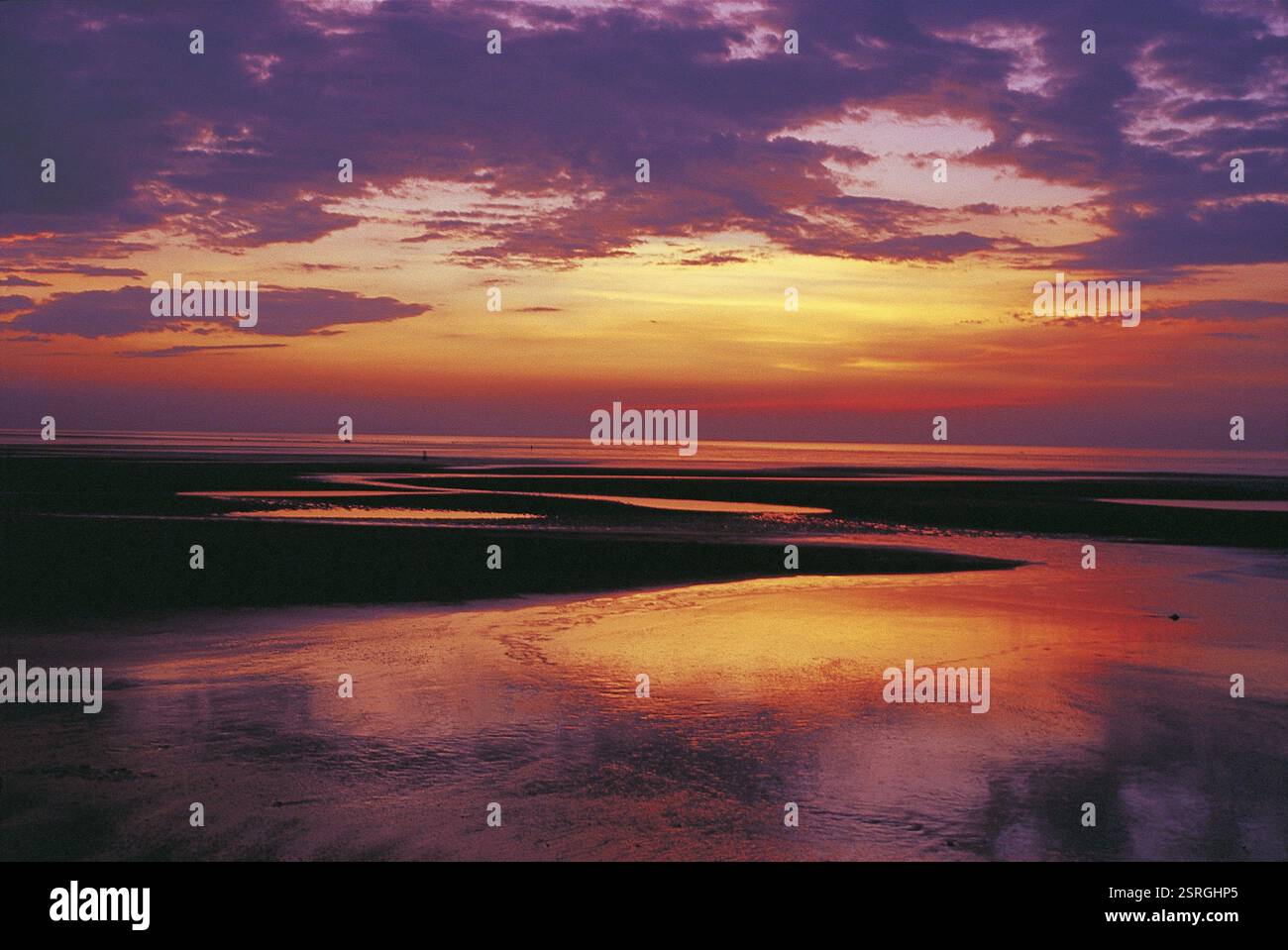 Sunset on Tithal beach, Gujarat, India, Asia Stock Photo - Alamy