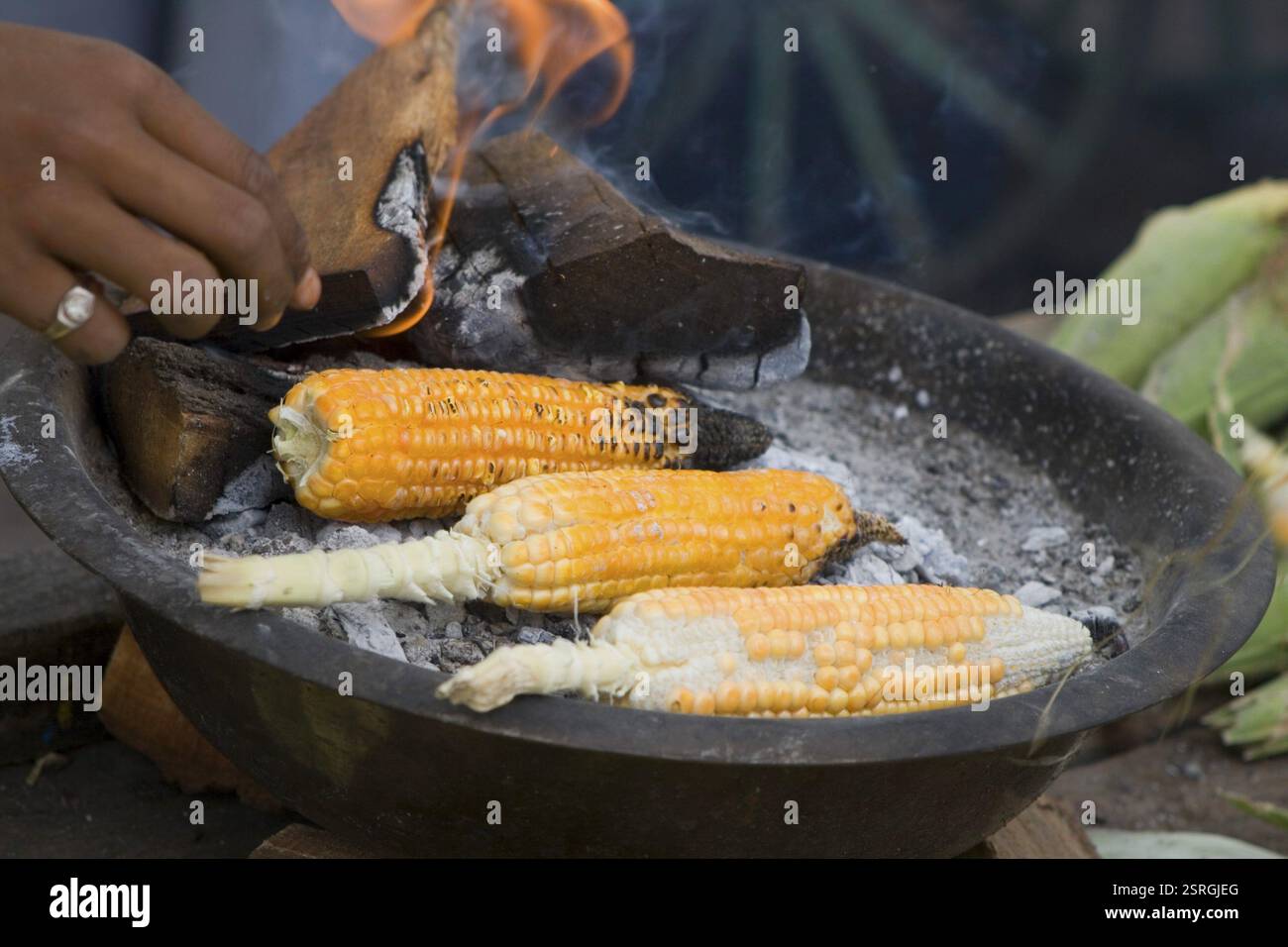 Roasted corn cob, India, Asia Stock Photo - Alamy