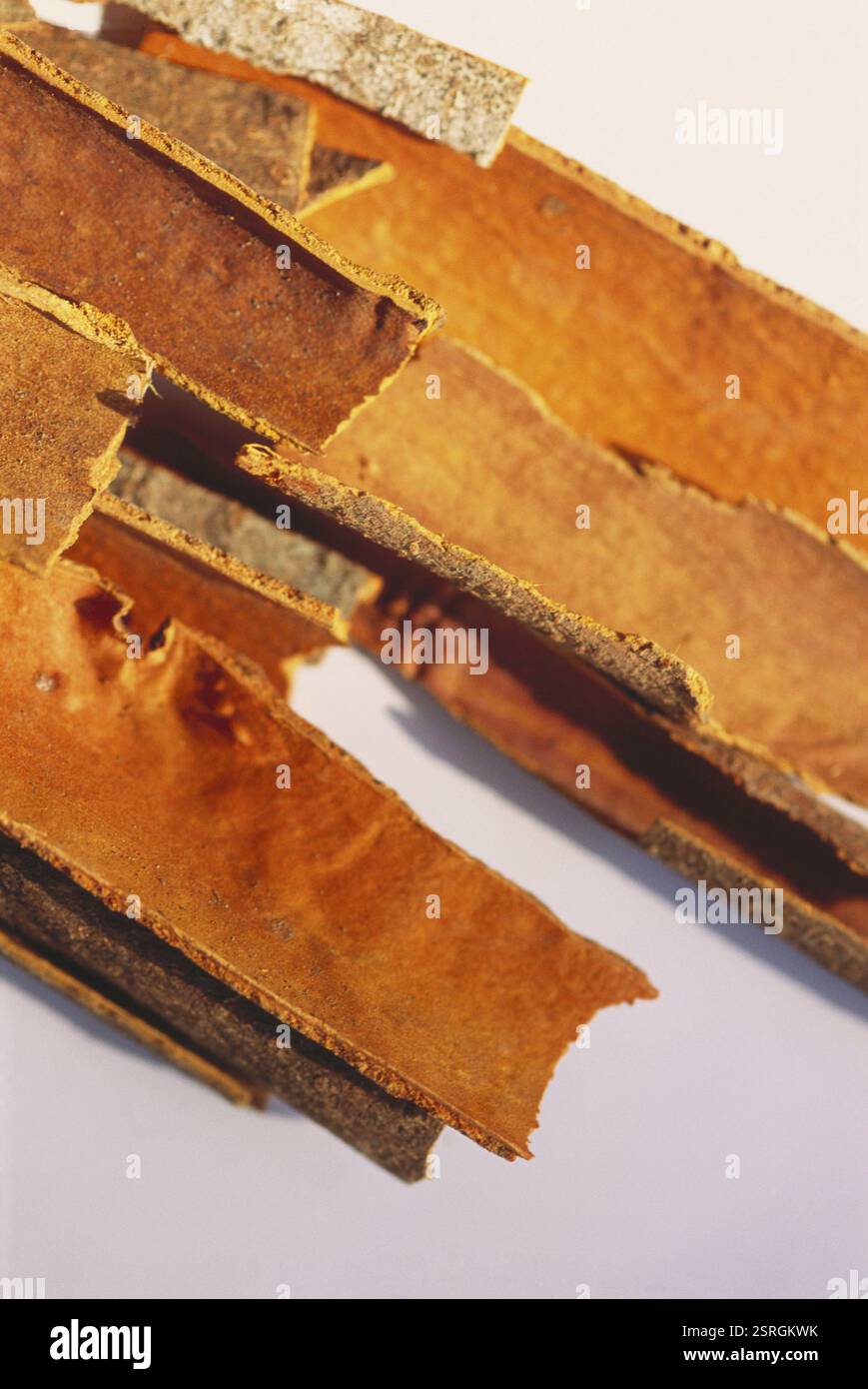 Indian spices, cinnamon cinnamomum zeylanicum, Baroda, Gujarat, India ...