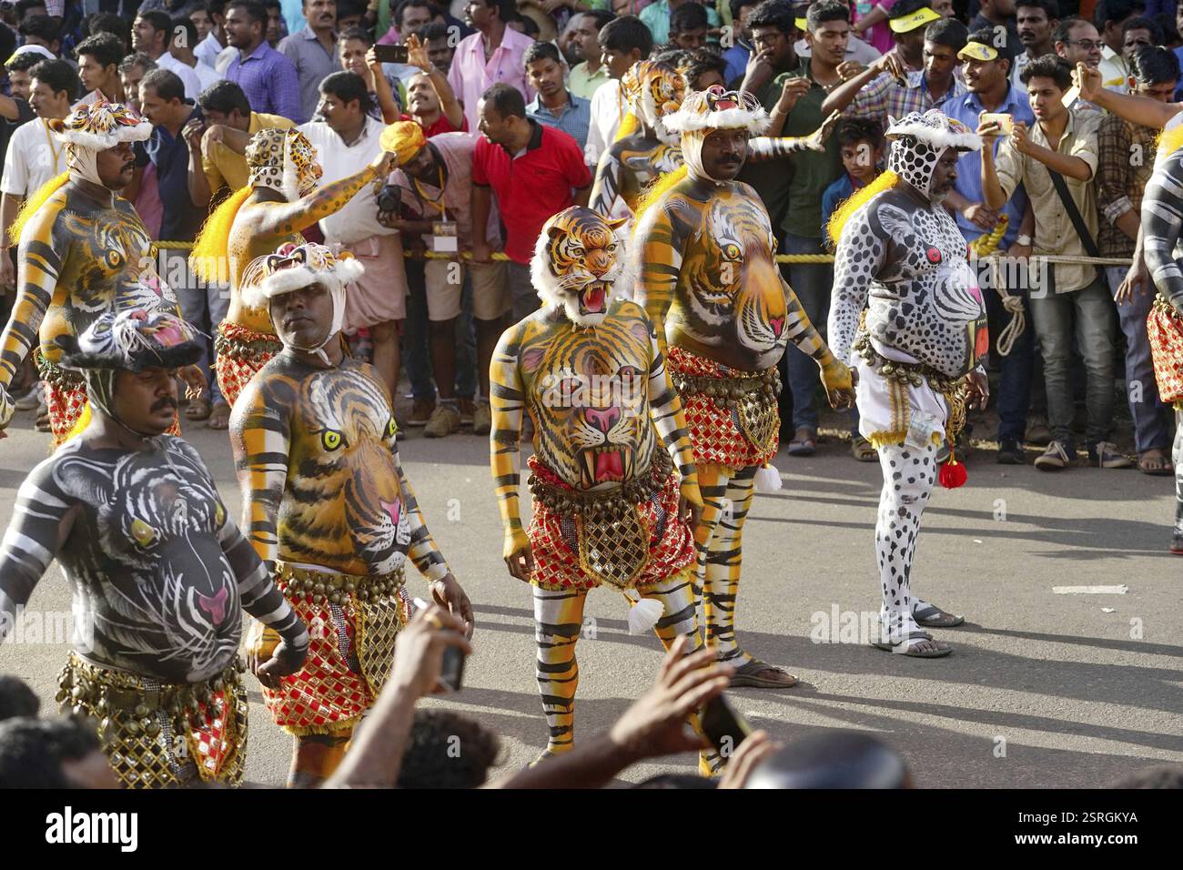 Trained dancers with their carefully painted bodies guise of tigers ...