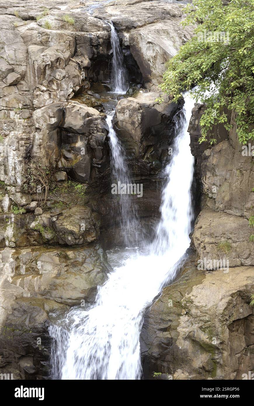 Randha waterfalls, Bhandardhara, Nashik District, Maharashtra, India ...