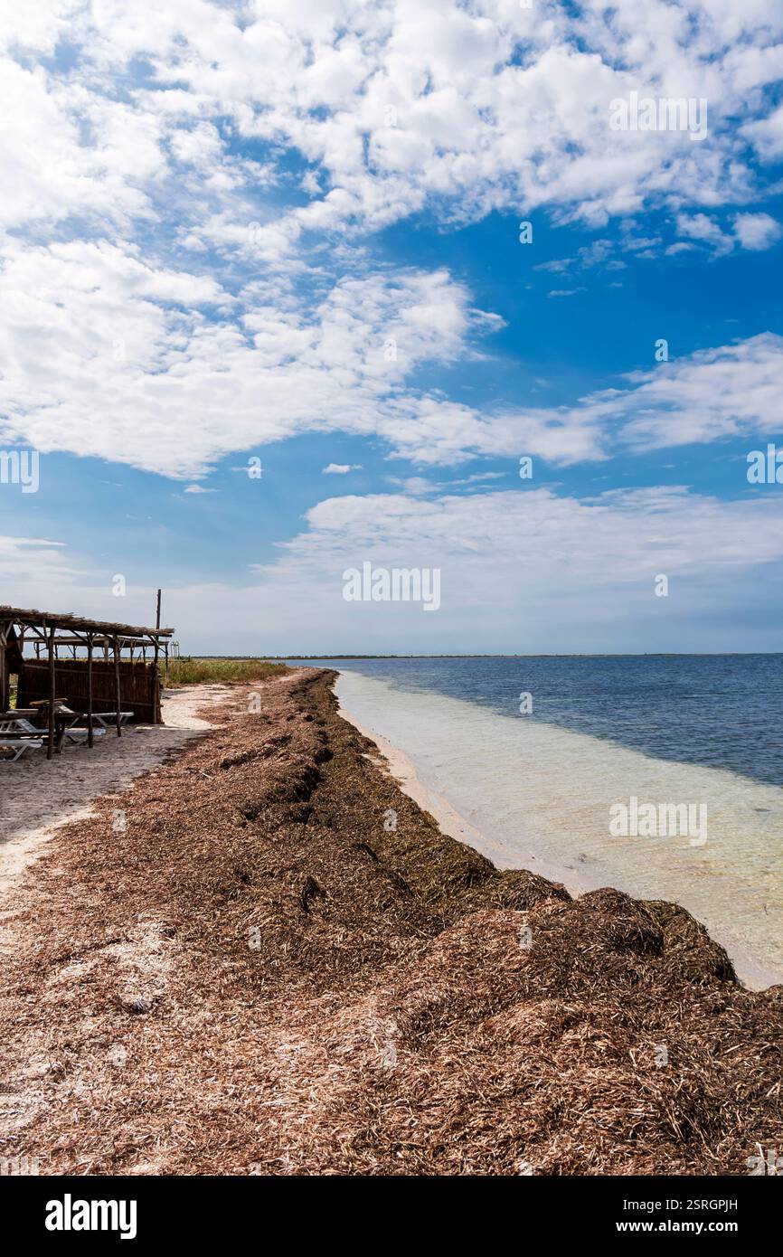 A sandy beach next to a body of water Stock Photo - Alamy