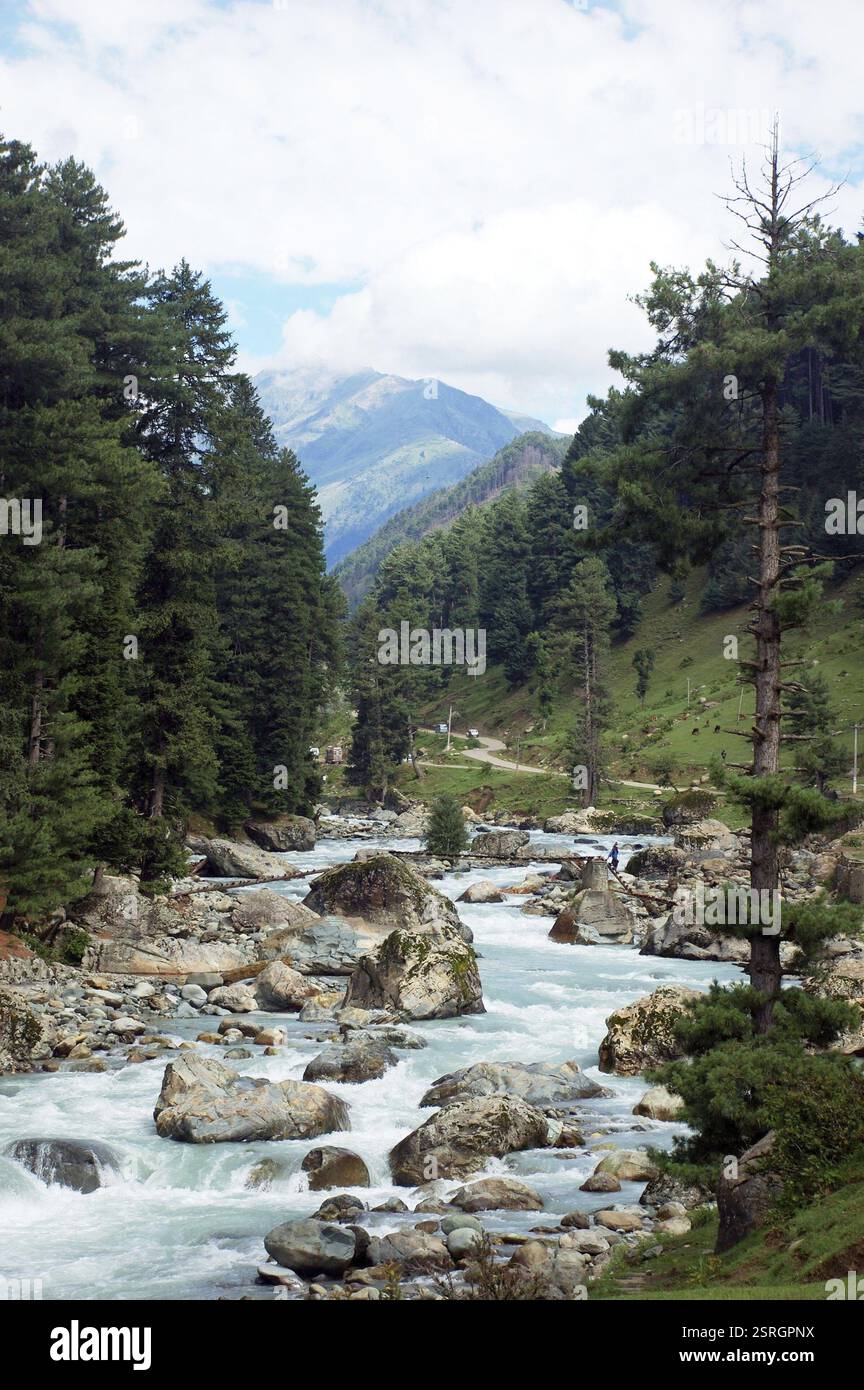 A river, Pahalgam, Jammu & Kashmir, India, Asia Stock Photo - Alamy