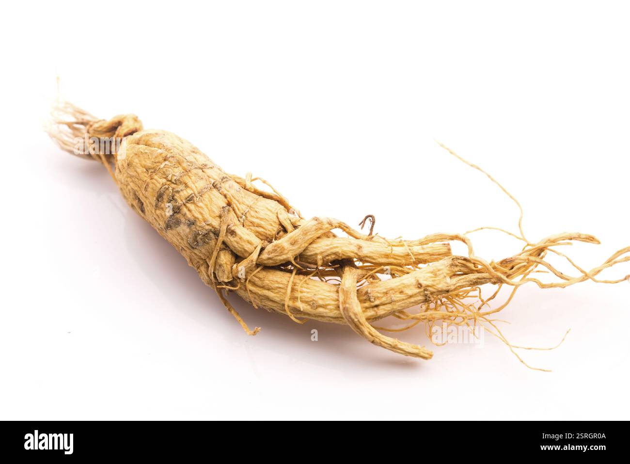Extract of ginseng root Stock Photo - Alamy