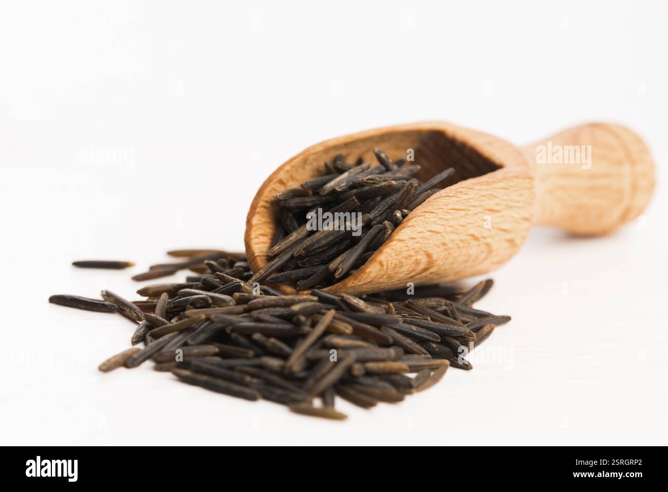 Rice plant picture hi-res stock photography and images - Alamy