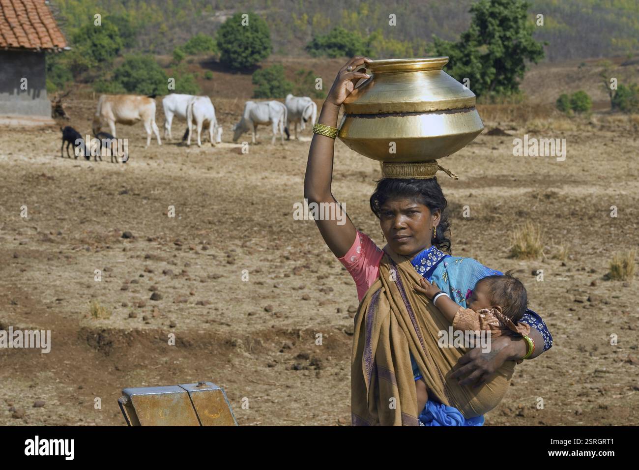 Water shortage, dindori, Madhya Pradesh, India, Asia Stock Photo - Alamy