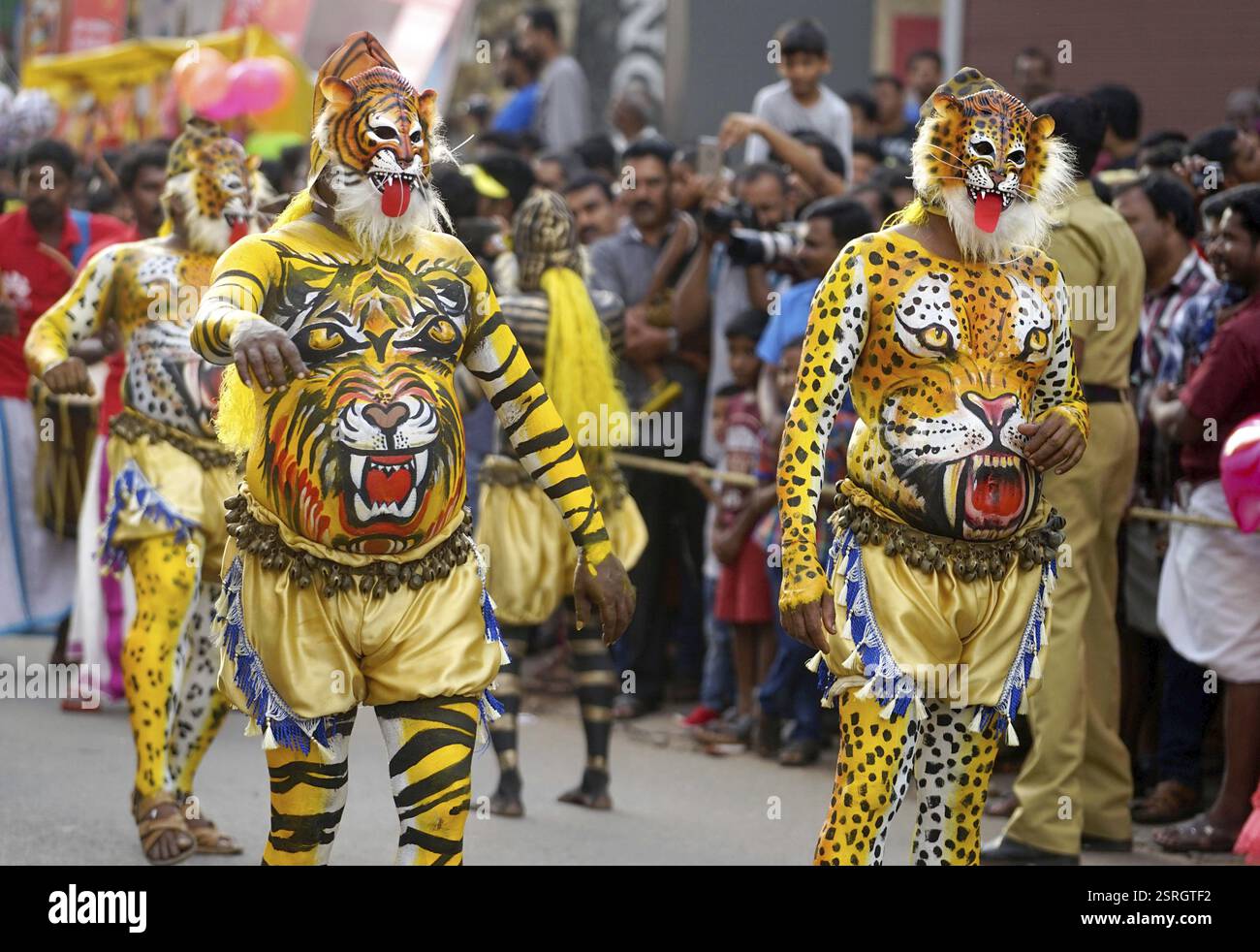 Trained dancers with their carefully painted bodies guise of tigers ...