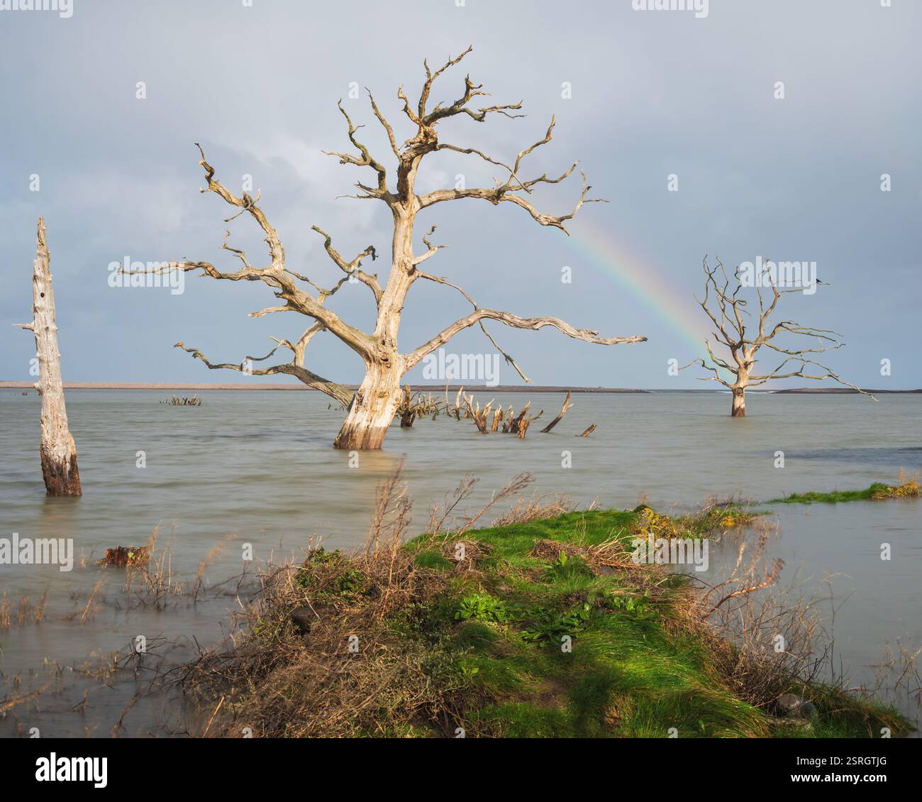 High spring tide flooding the salt marshes with a rainbow across the ...