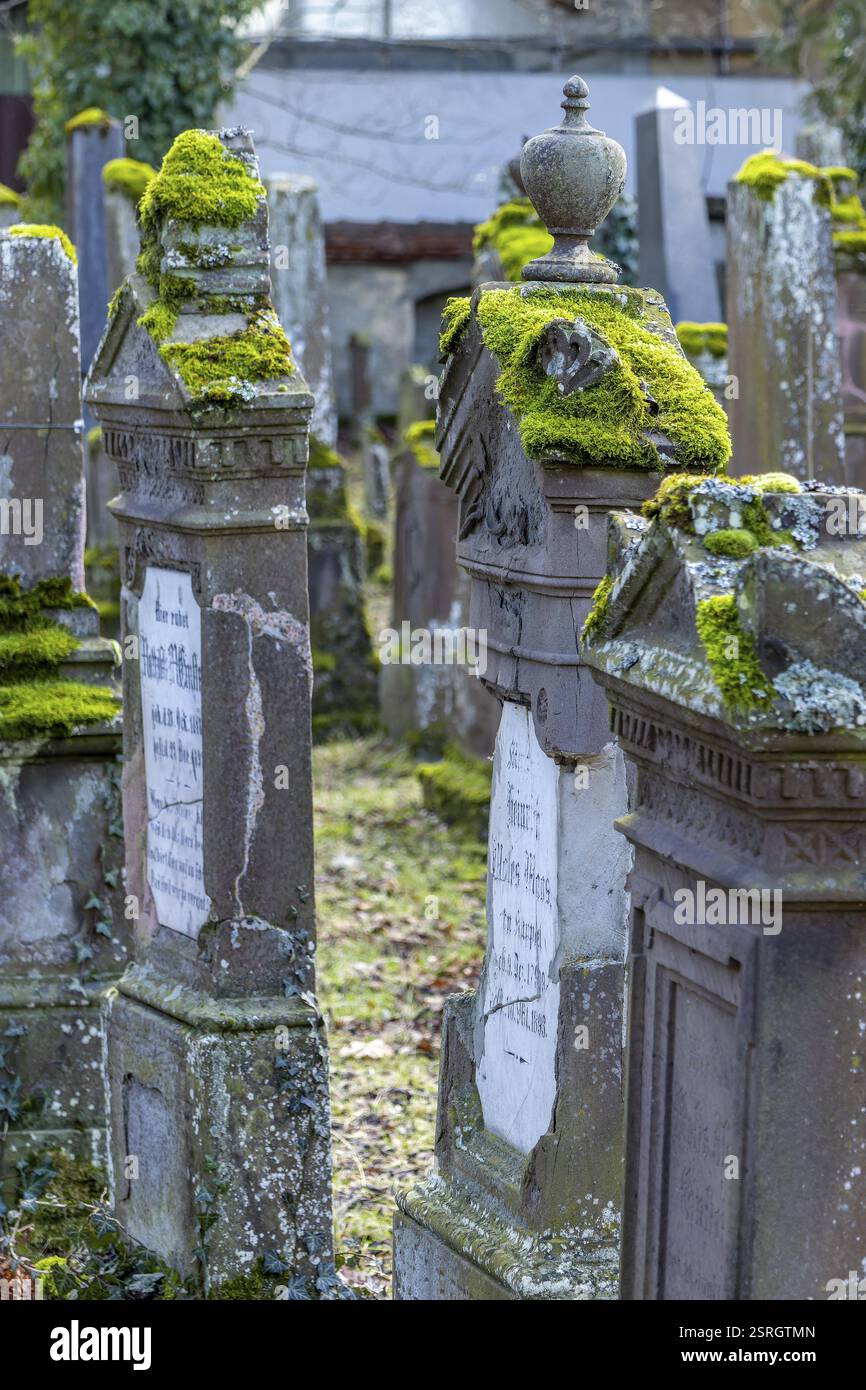 Jewish cemetery with gravestones and grave slabs with green moss, Bad ...