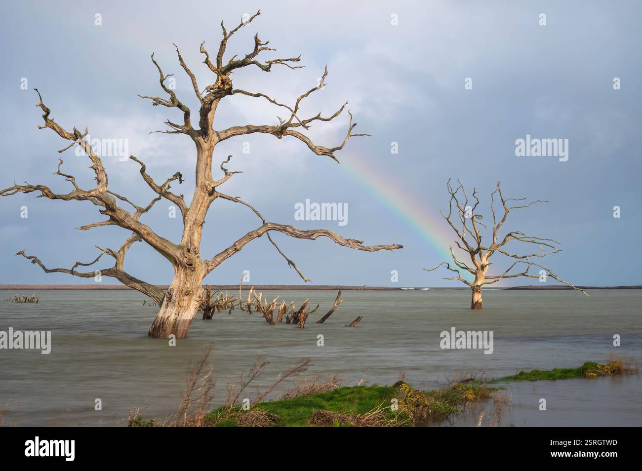 High spring tide flooding the salt marshes with a rainbow across the ...