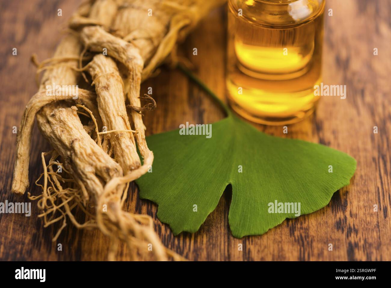Extract of ginseng root and ginkgo biloba leaves Stock Photo - Alamy