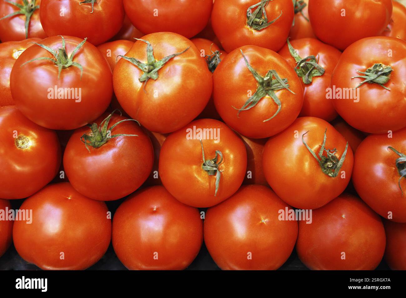 Vegetables Red Tomatos India Stock Photo - Alamy