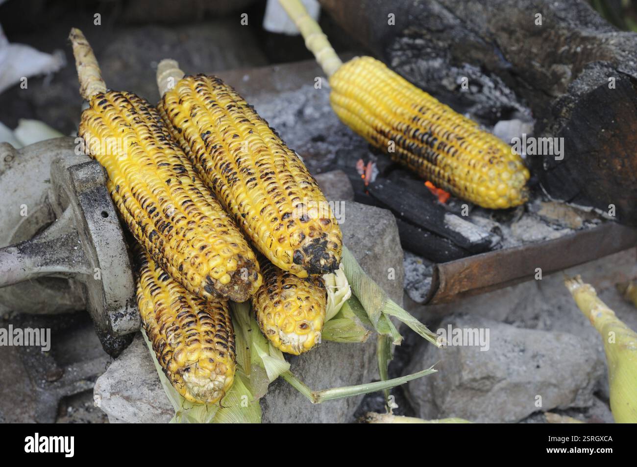 Sweet corn roast on coal fire, Pune, Maharashtra, India, Asia Stock ...