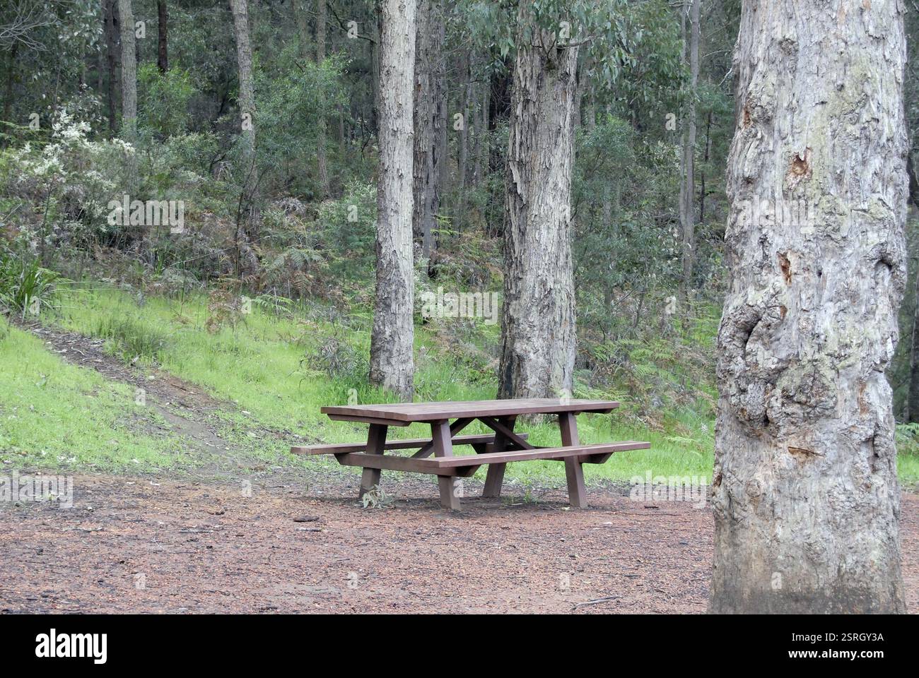 Garden dining bench, Perth, Australia, Oceania Stock Photo - Alamy