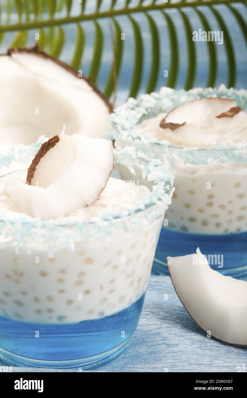 Coconut pudding with tapioca pearls and litchi jelly, POLAND Stock ...
