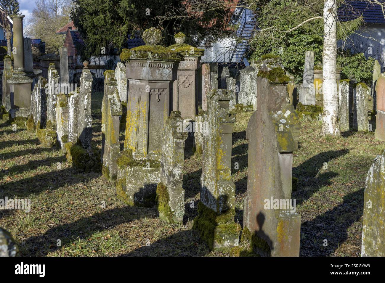 Jewish cemetery with gravestones and grave slabs with green moss, Bad ...