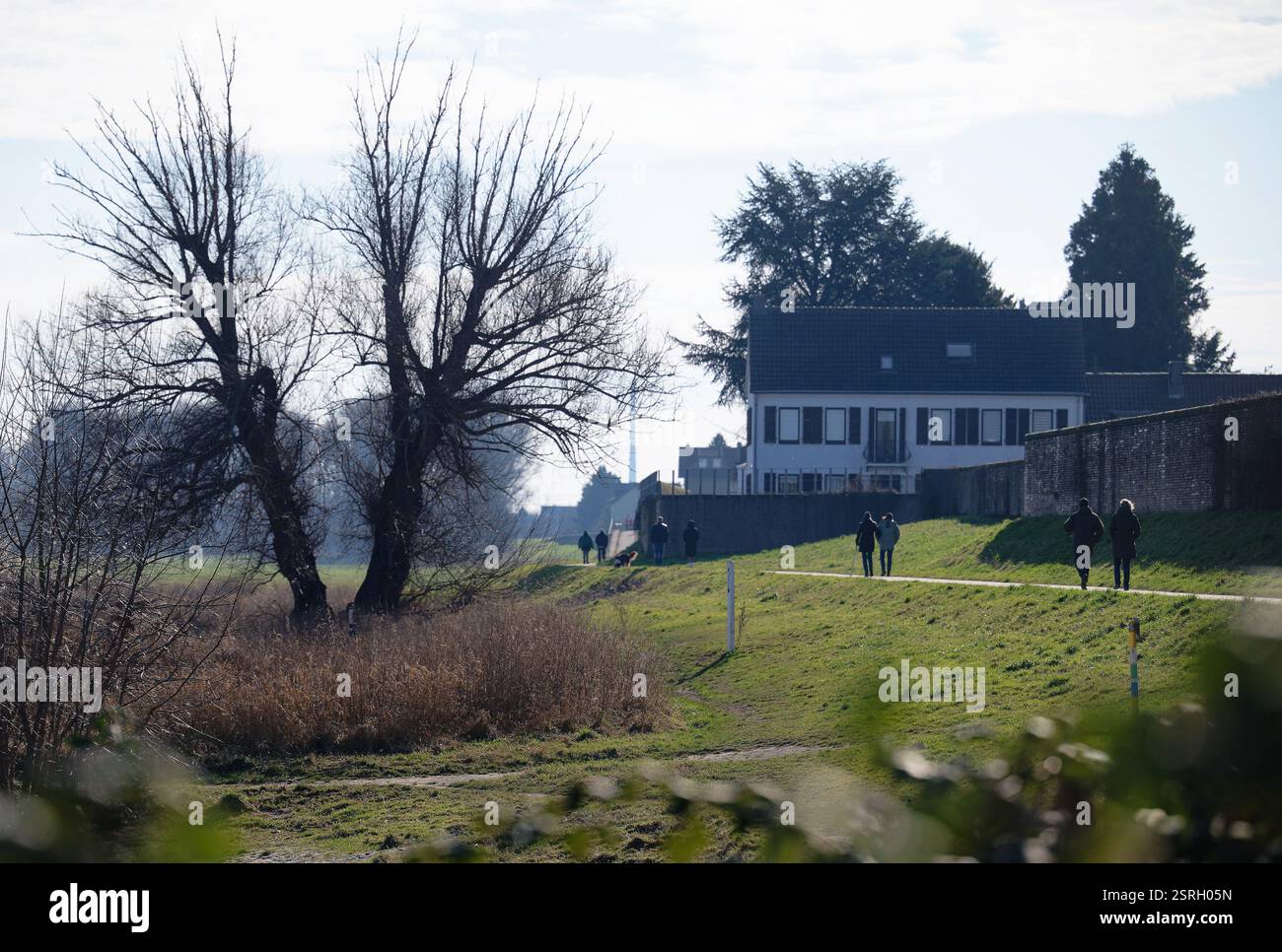 16 February 2025, North Rhine-Westphalia, Cologne: Walkers are out and ...