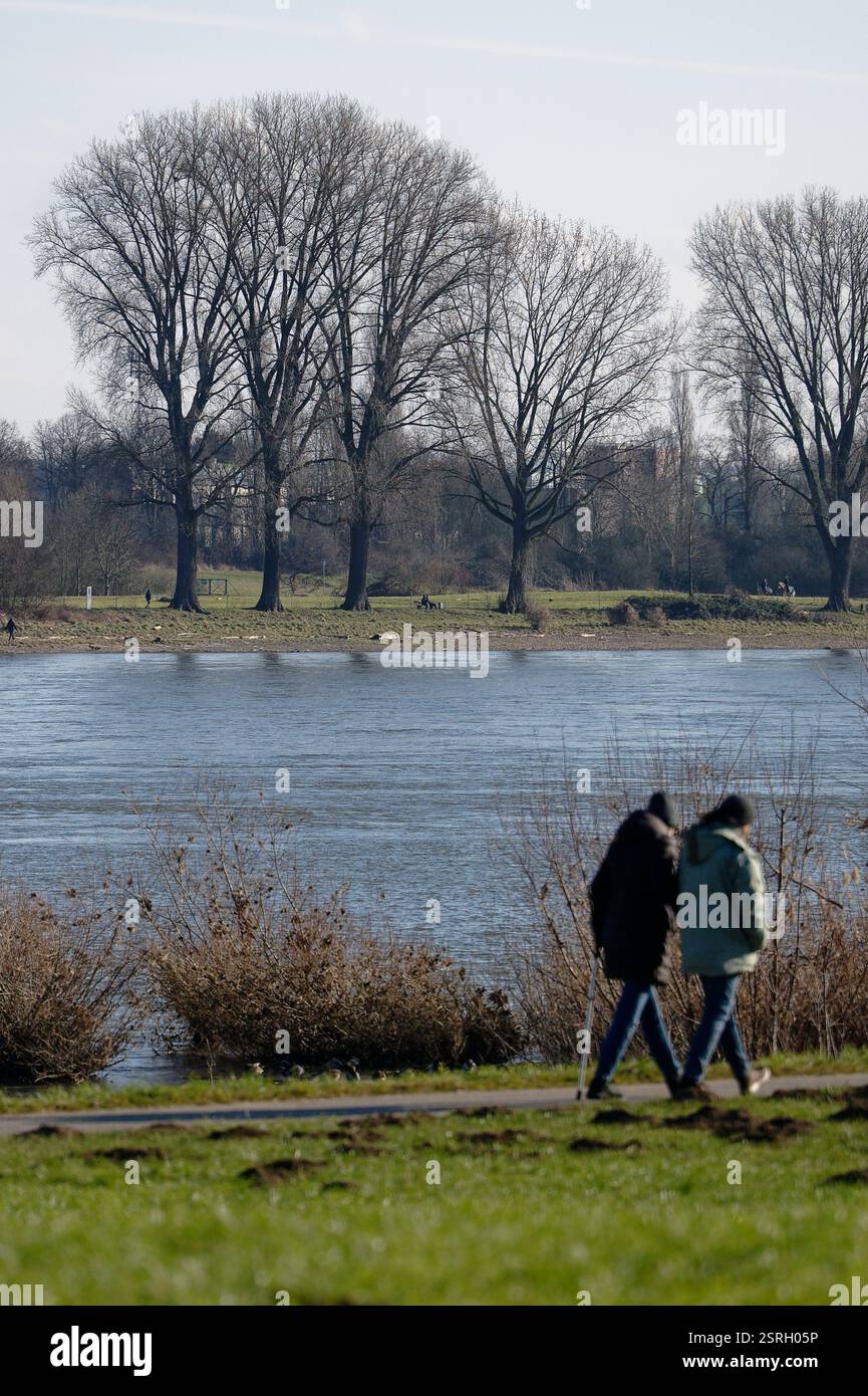 16 February 2025, North Rhine-Westphalia, Cologne: Walkers are out and ...