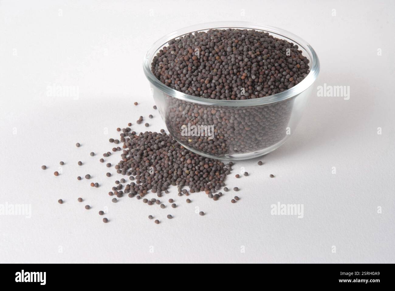 Spices, black mustard seeds rai brassica nigra brassica juncea brassica ...