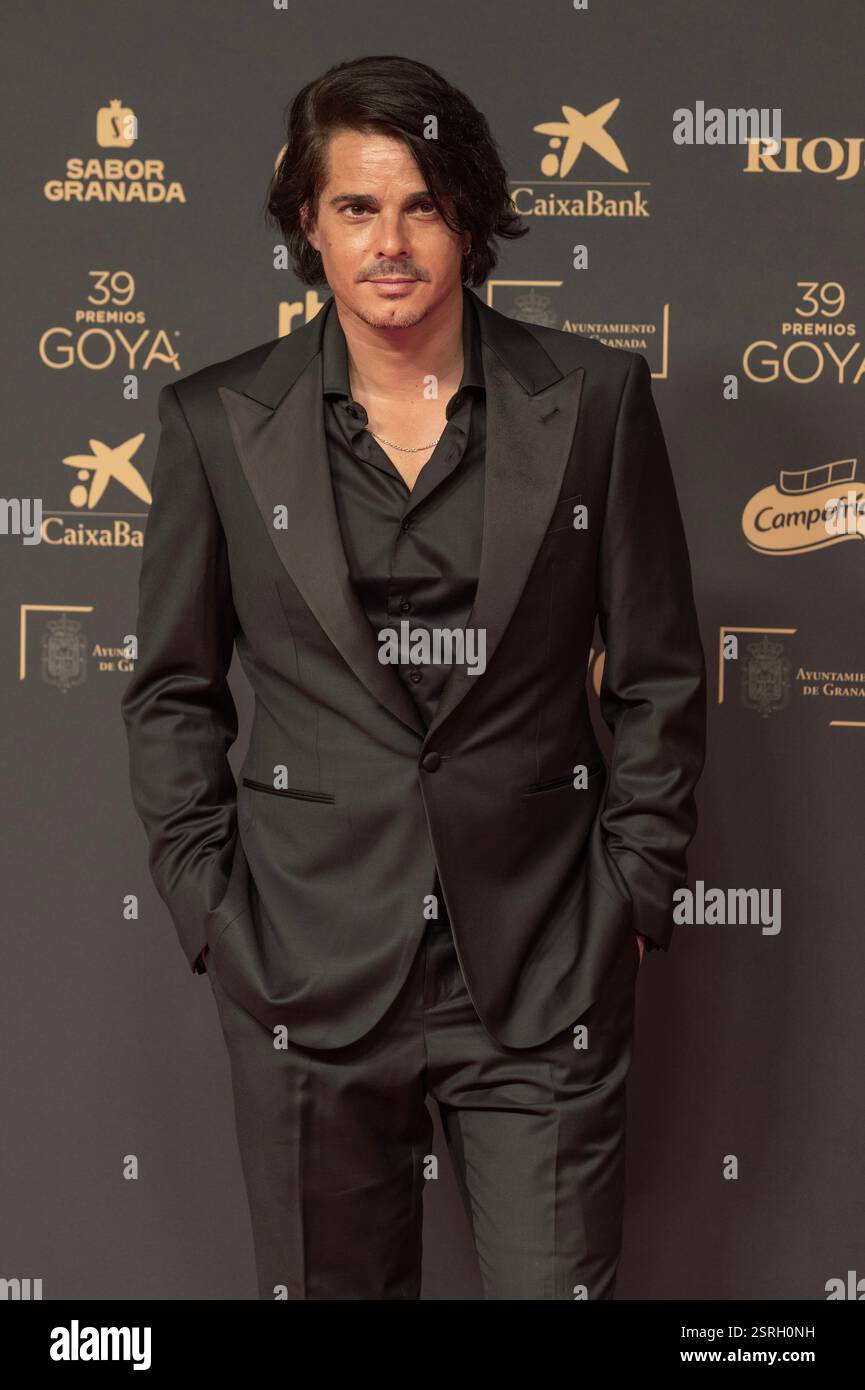 Ganada, Spain February 08, 2025, Javier Recio attends the red carpet at ...