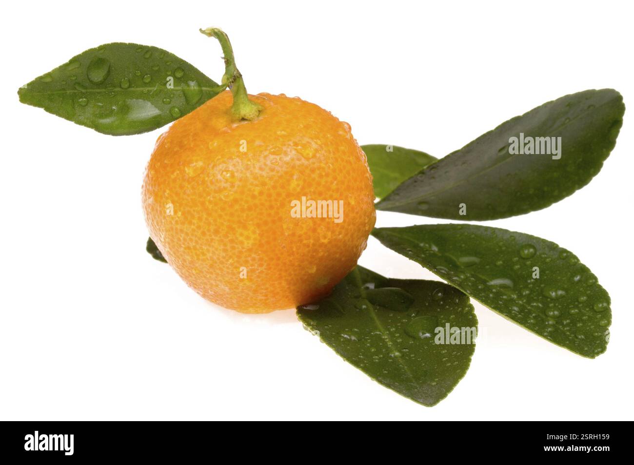 Mandarin buttons hi-res stock photography and images - Alamy