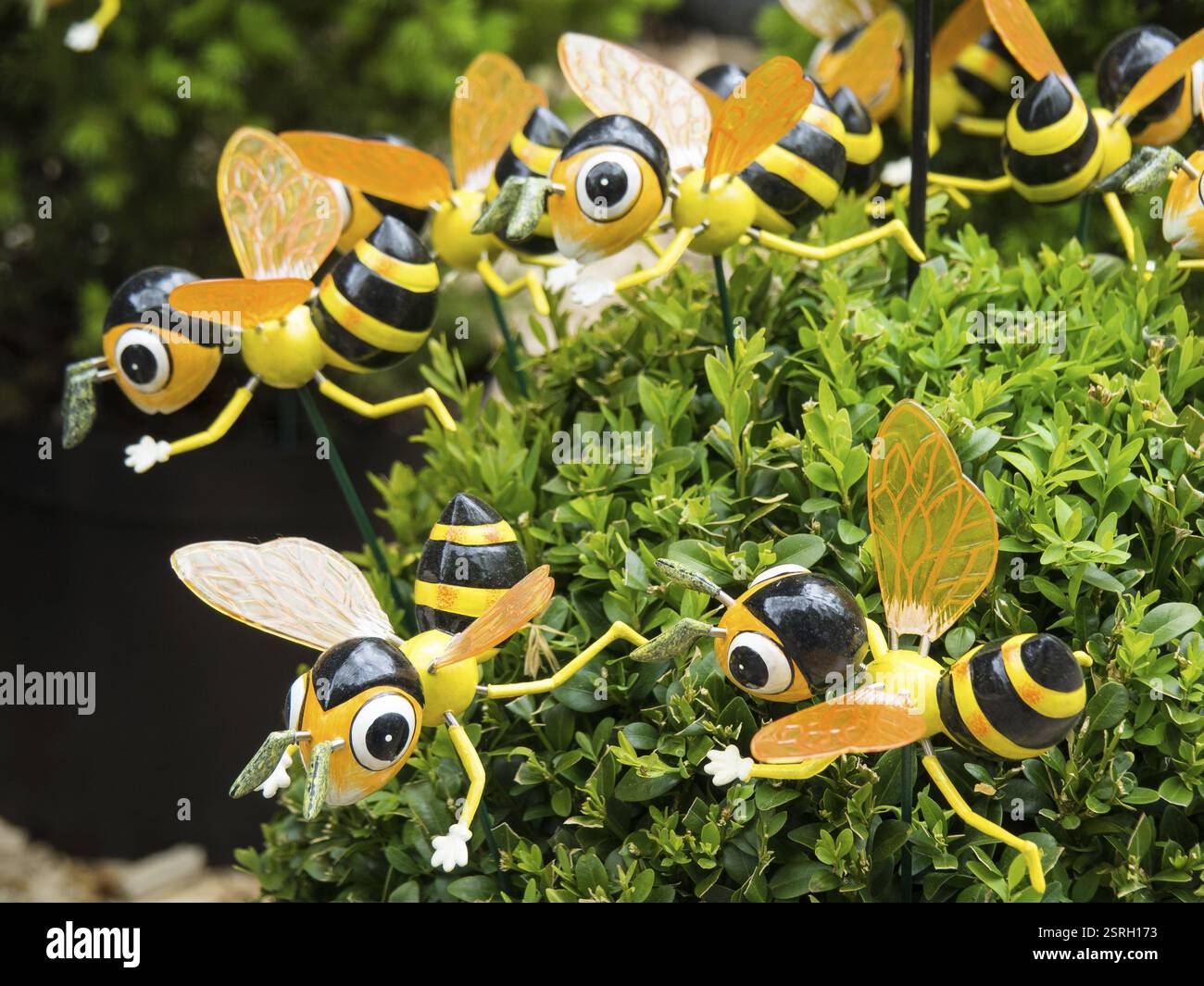 Decorative plastic bees fly over shrubs in the garden, borken ...