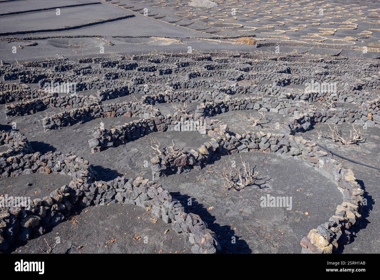 Pattern of moon shaped walls in the unique wine growing landscape of La ...
