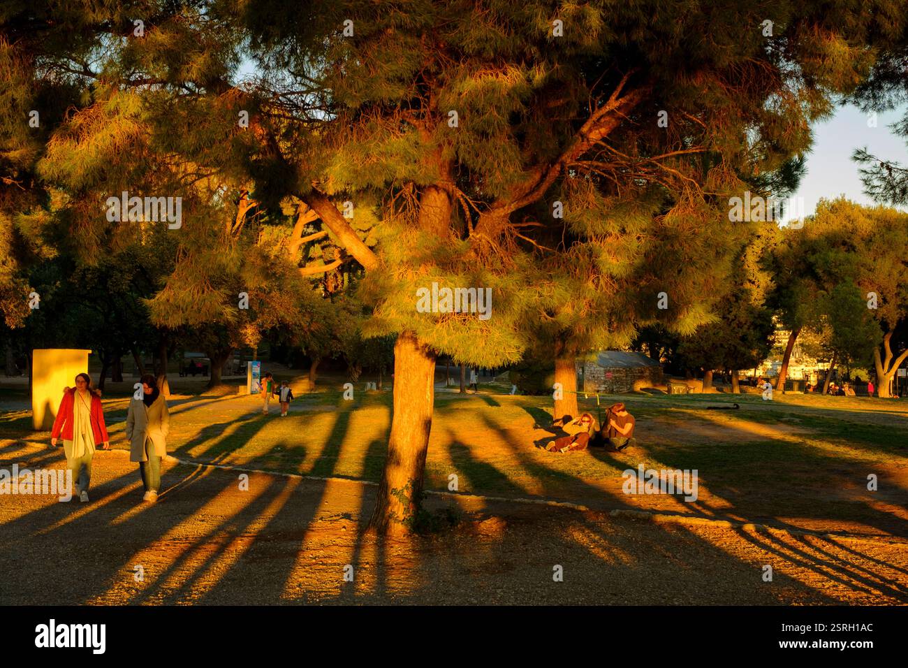 Enjoy a peaceful sunset at Colline du Château, where shadows dance ...