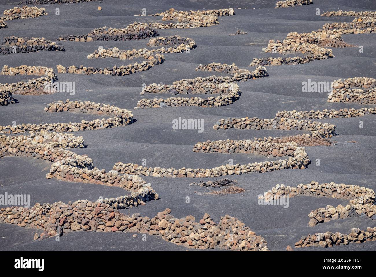 Pattern of moon shaped walls in the unique wine growing landscape of La ...