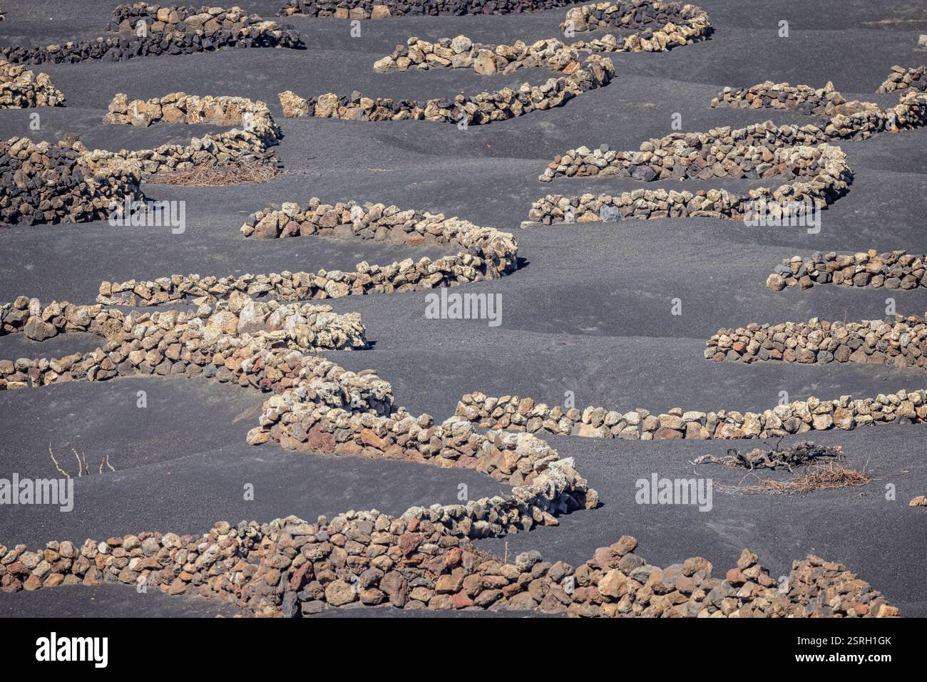 Pattern of moon shaped walls in the unique wine growing landscape of La ...