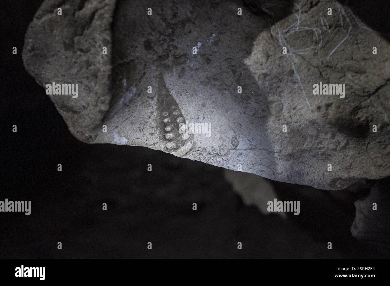 Fossils on walls, mawsmai caves, cherrapunji, meghalaya, india, asia ...