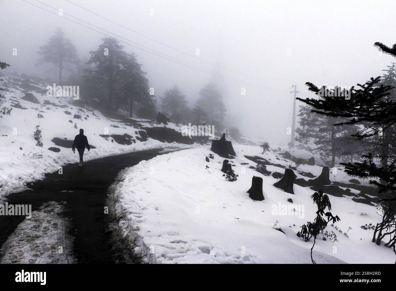 Man walking on roads of yumthang, Sikkim, India, Asia Stock Photo - Alamy