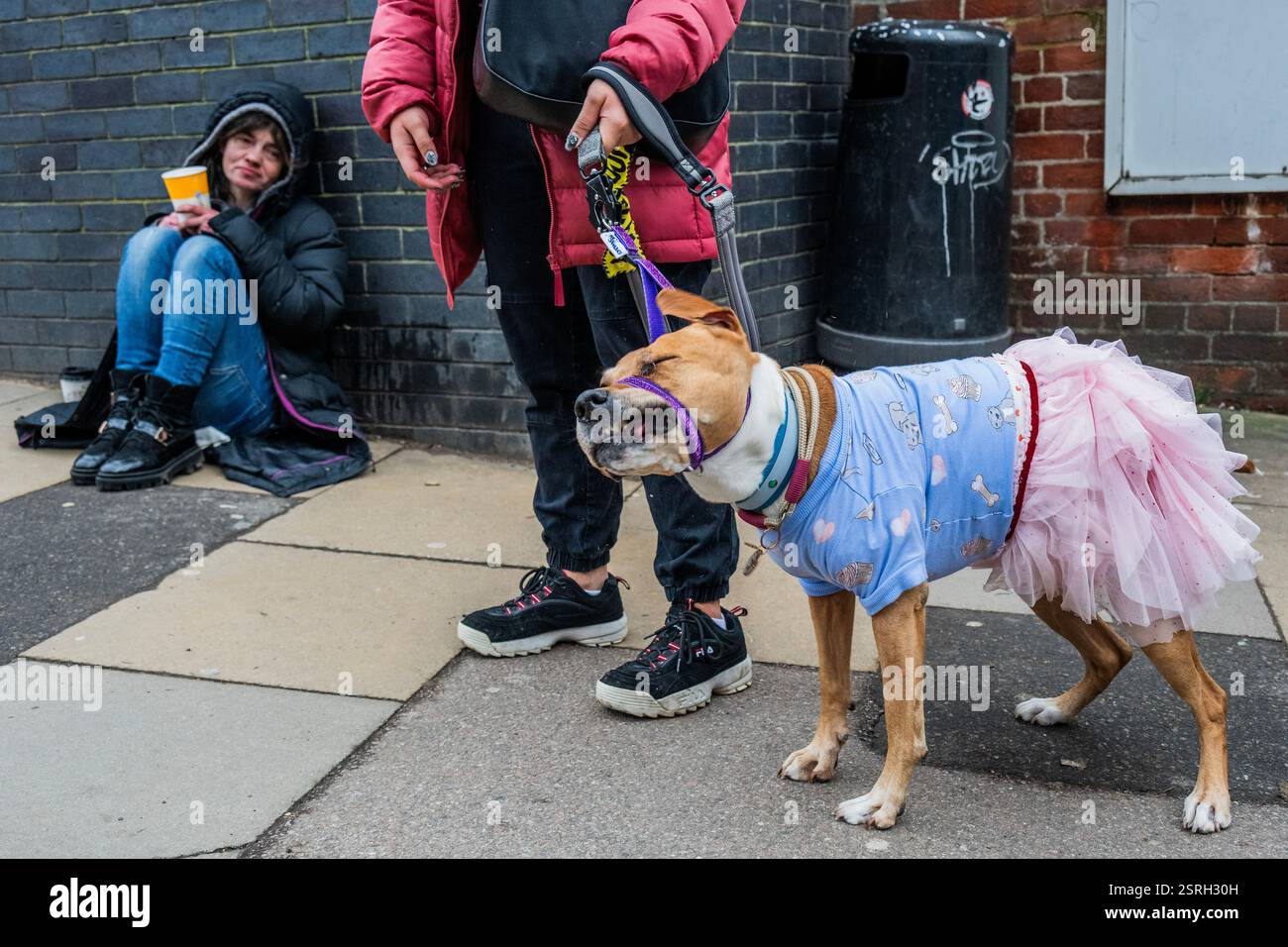 London, UK. 16th Feb, 2025. Princess Honey wears a tutu as she heads ...