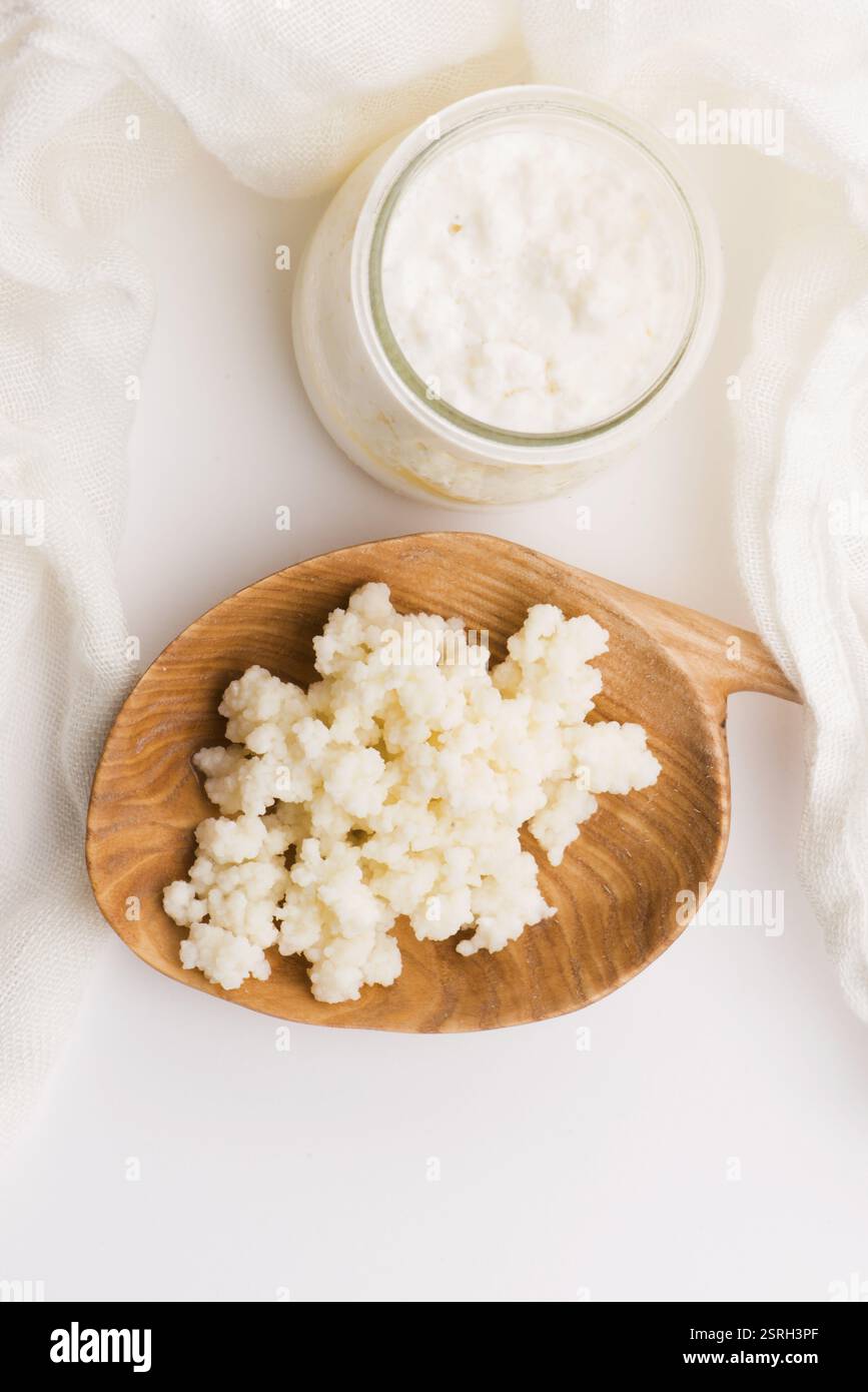 Milk kefir grains in spoon. Yeast bacterial fermentation starter Stock ...