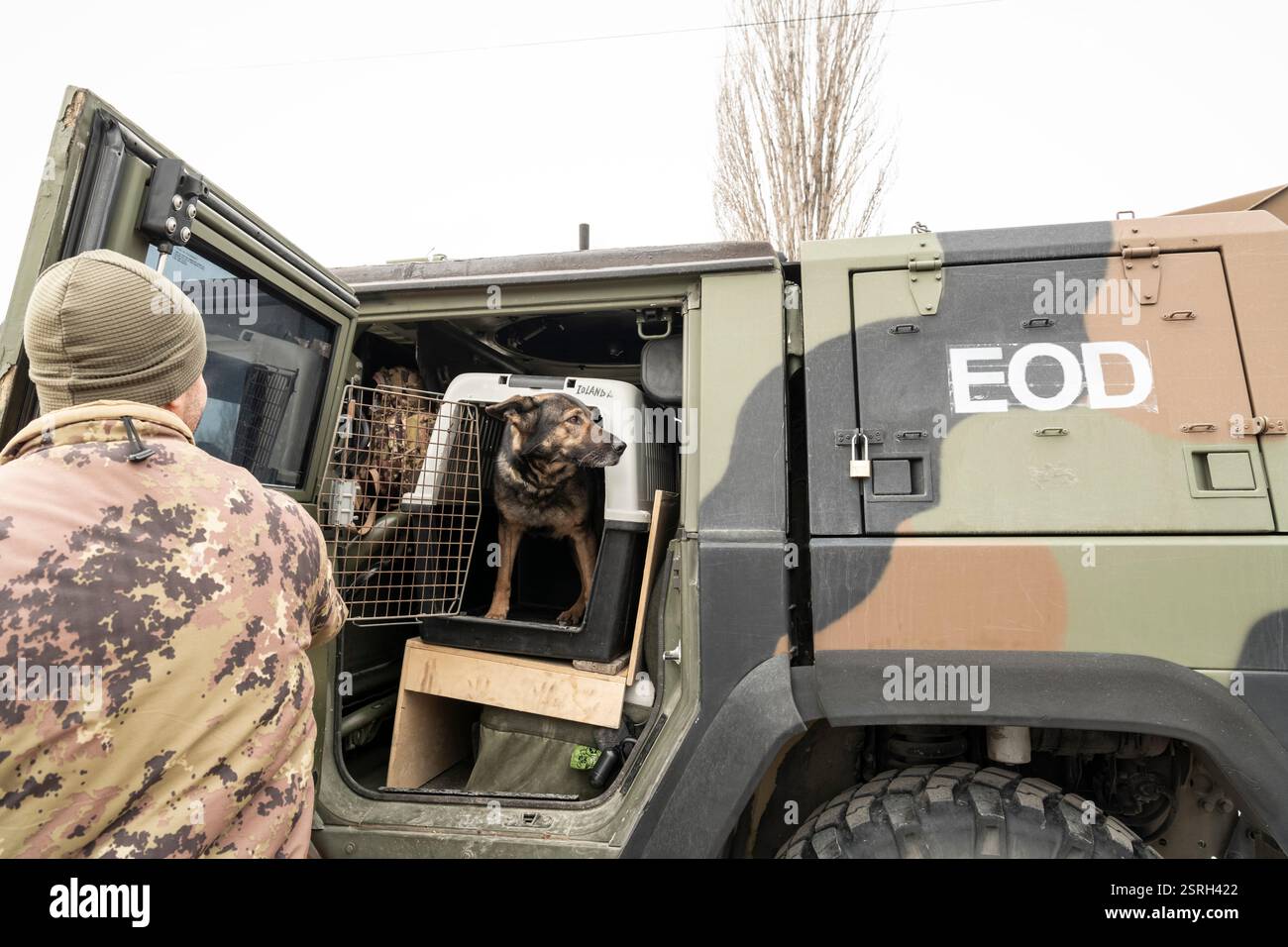 February 14, 2025, North Mitrovica, Mitrovica, Kosovo: KFOR is a NATO ...